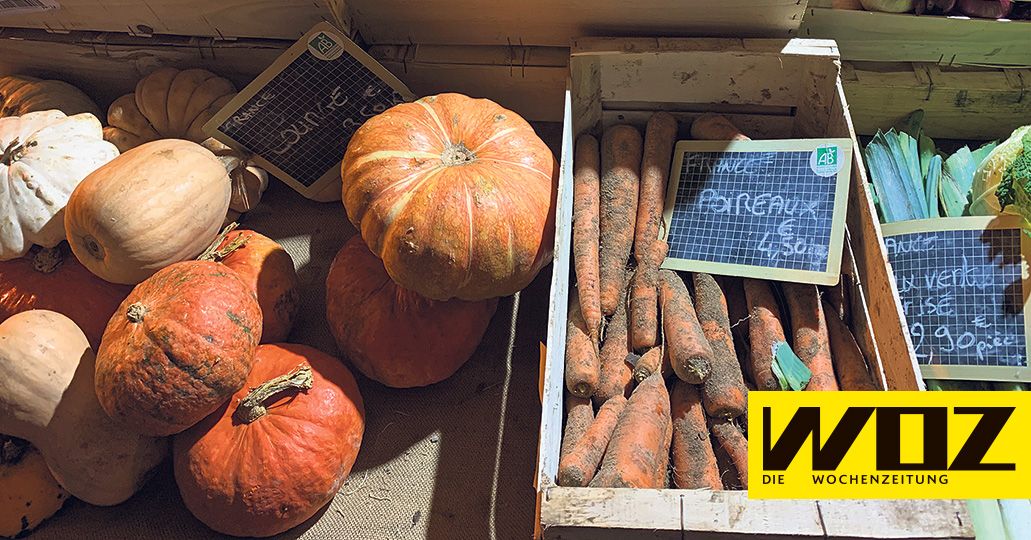 Regionale Landwirtschaft: Das «modèle mouansois» als Vorbild | WOZ Die ...